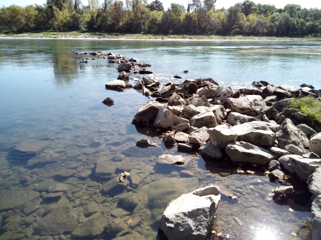 Vieux Rhône et épi Girardon - Cap sur le Rhone